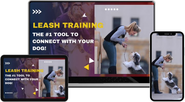 The Janice Hayes Dog Handling Courses – Transform Your Dog Handling ...