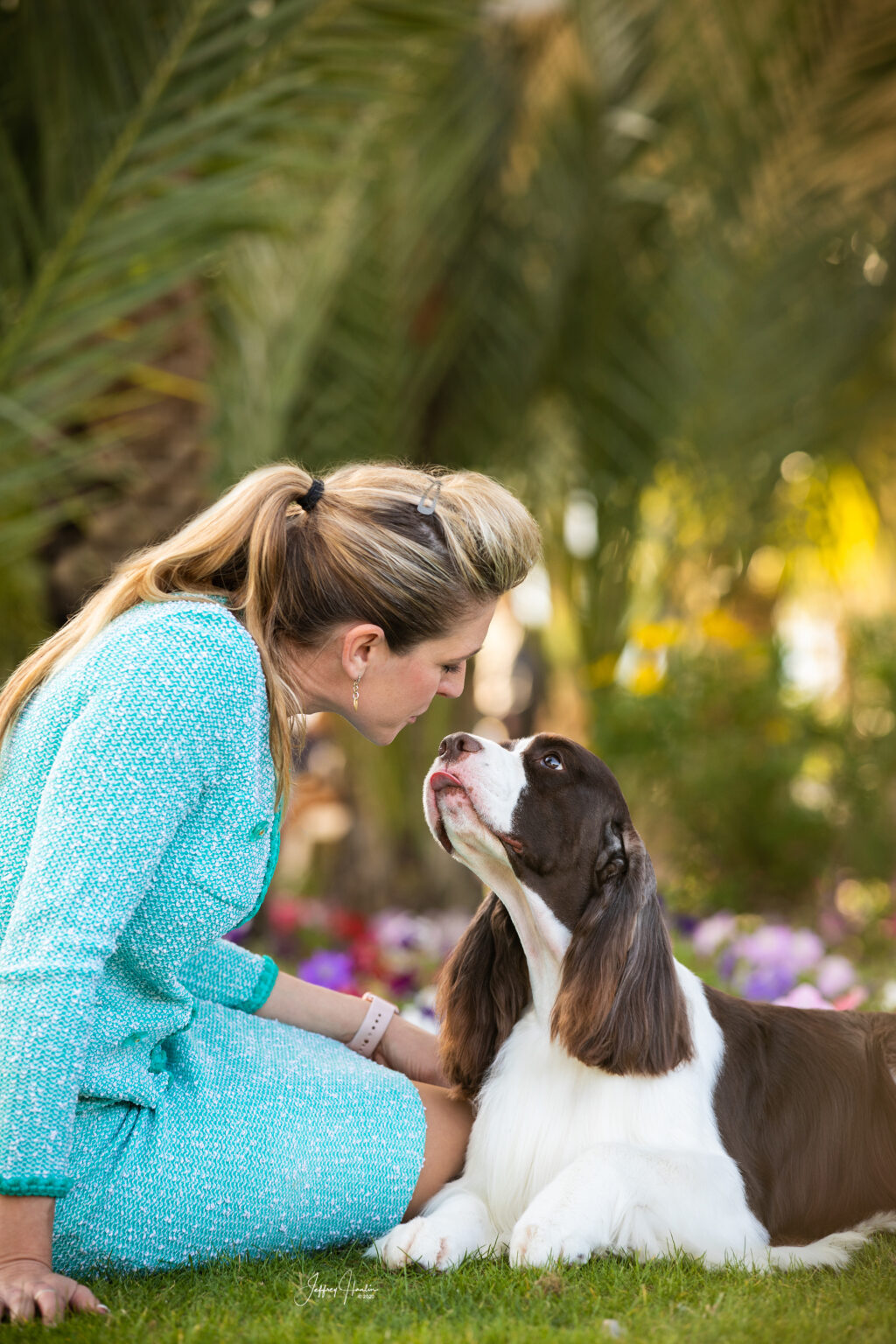 Resources – The Janice Hayes Dog Handling Courses
