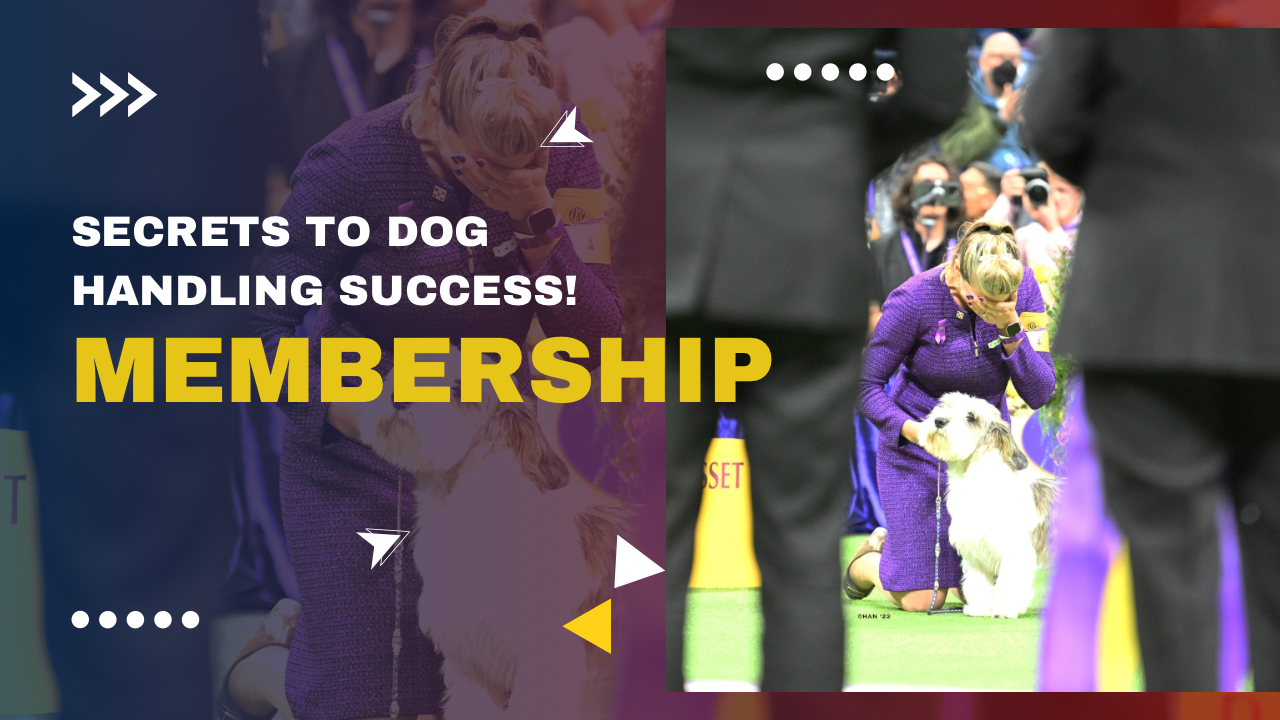 The Janice Hayes Dog Handling Courses – Transform Your Dog Handling ...