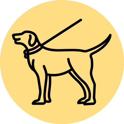 The Janice Hayes Dog Handling Courses – Transform Your Dog Handling ...