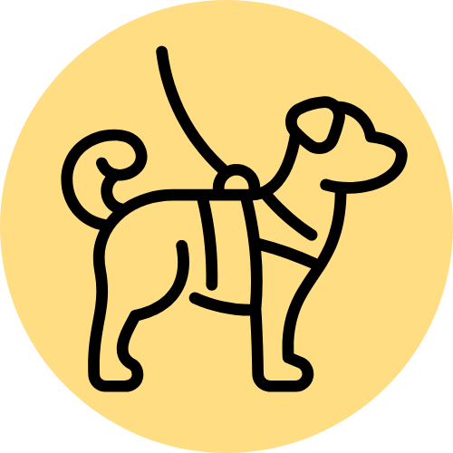 The Janice Hayes Dog Handling Courses – Transform Your Dog Handling ...