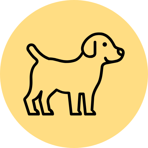 The Janice Hayes Dog Handling Courses – Transform Your Dog Handling ...
